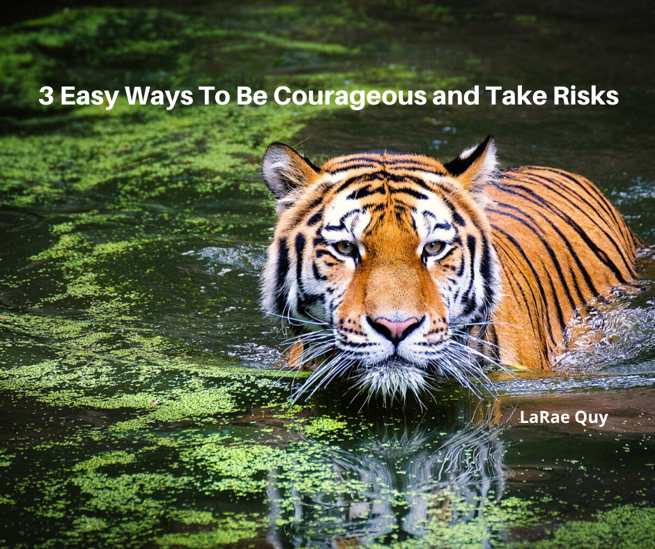 3 Easy Ways To Be Courageous And Take Risks | LaRae Quy